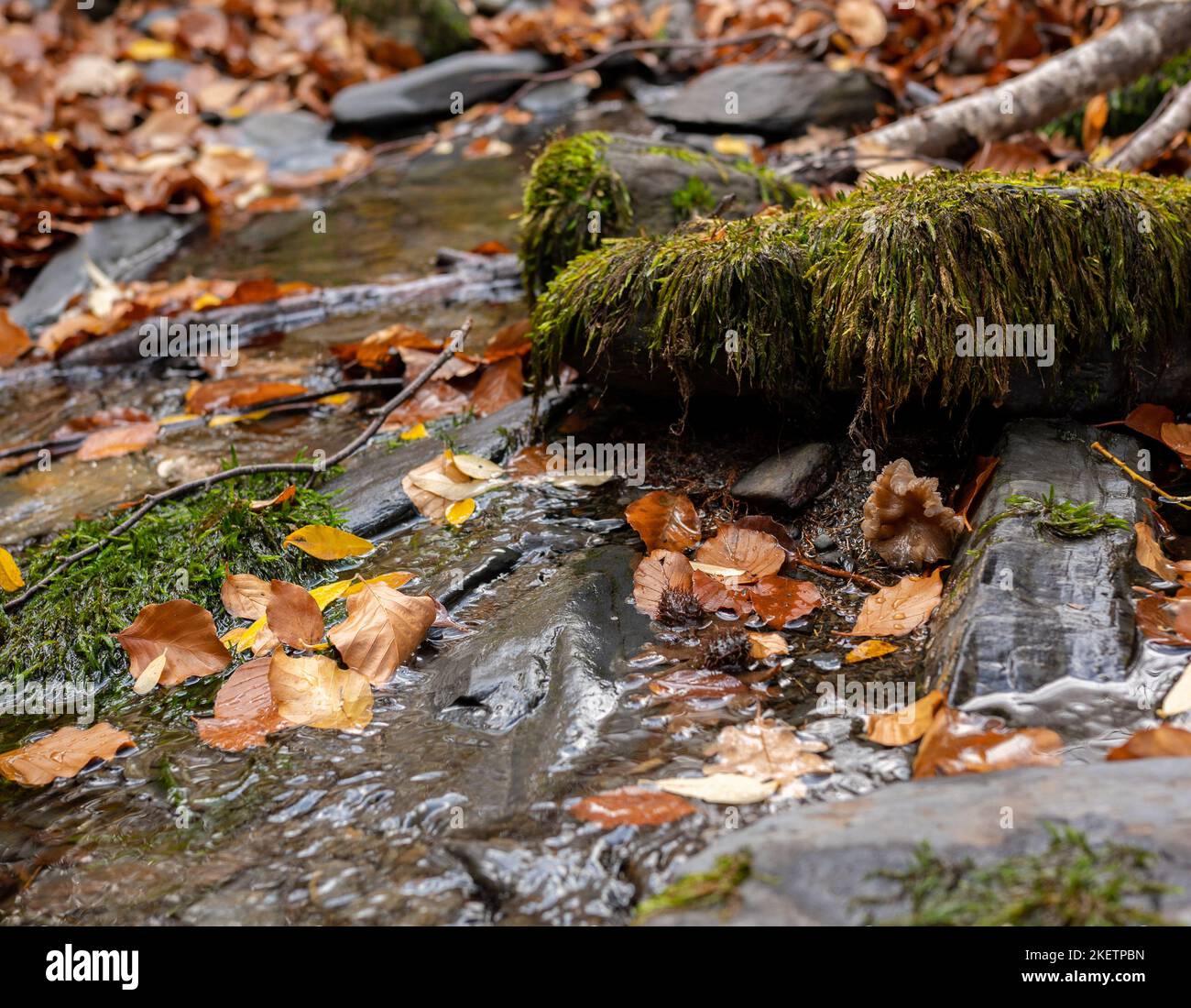 Gold creek station hi-res stock photography and images - Alamy