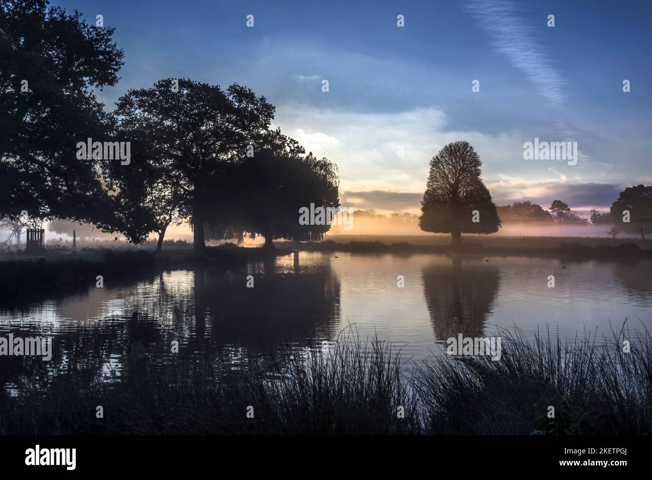 Colours of November morning sunrise through the mist Stock Photo - Alamy
