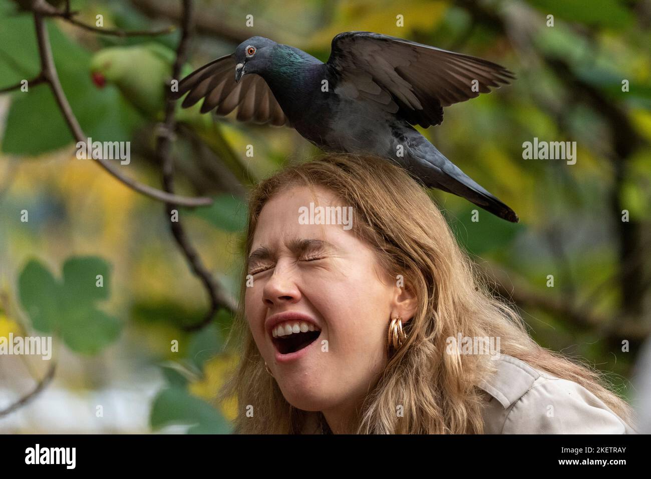 Shocked bird hi-res stock photography and images - Alamy