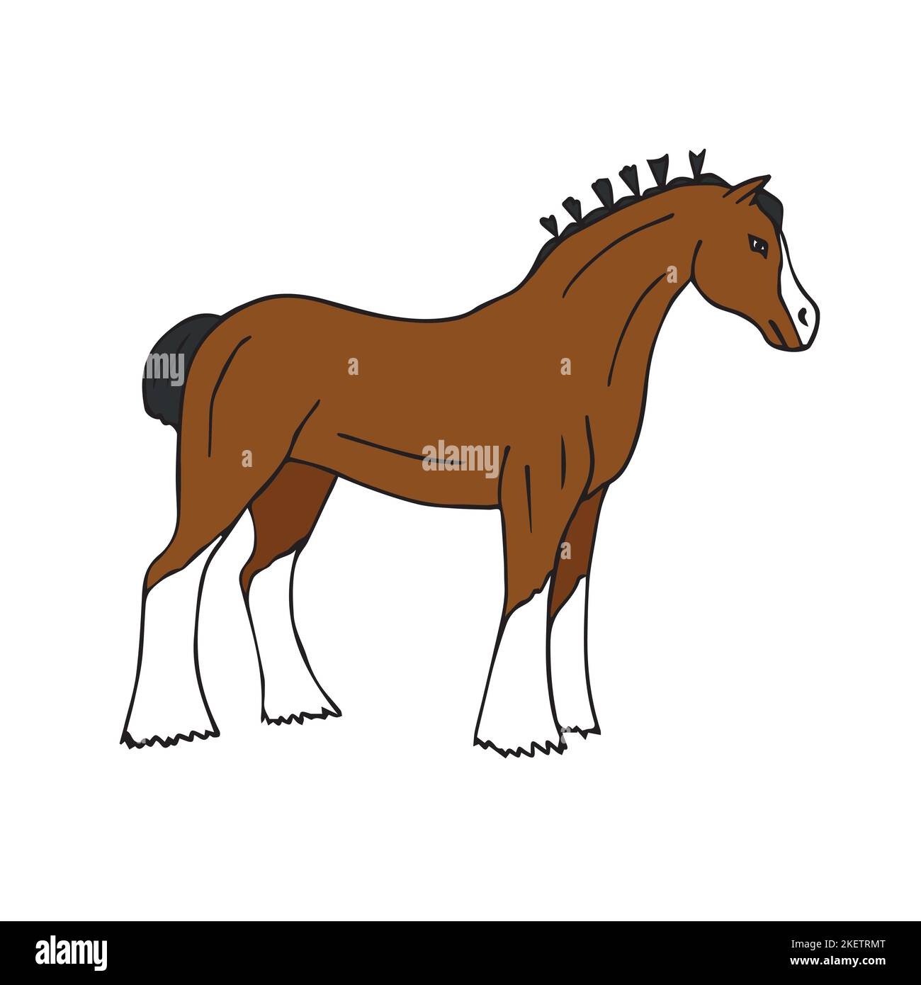 Vector hand drawn doodle sketch colored shire horse isolated on white ...