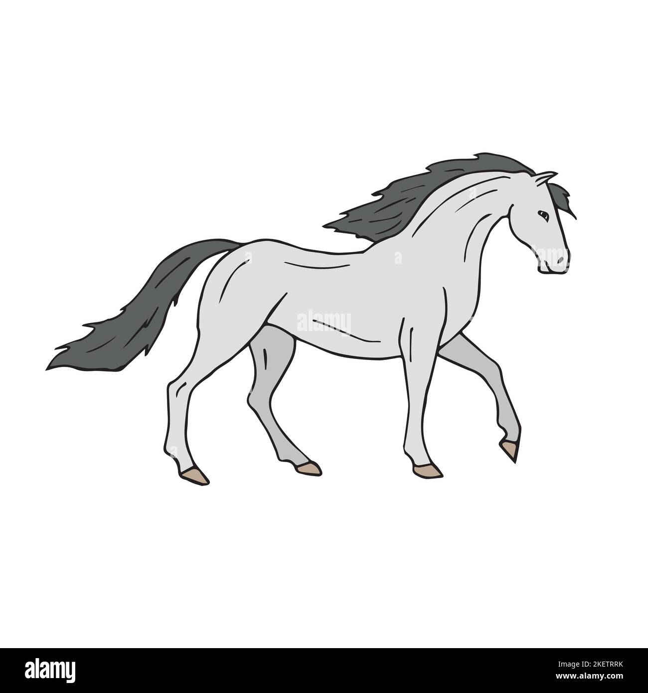 Vector hand drawn doodle sketch colored pre spanish horse isolated on ...
