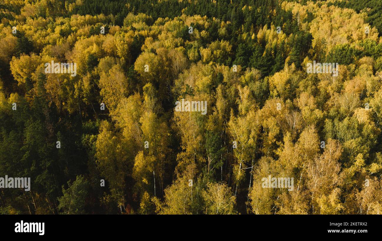 Flight over autumn forest. Beautiful autumn colors. Aerial view Stock ...