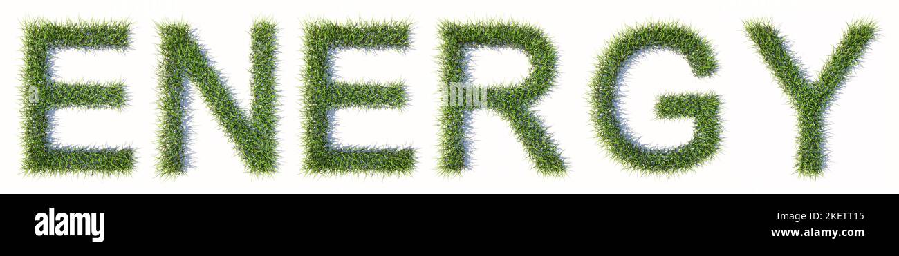 Concept or conceptual green lawn grass forming the word ENERGY isolated ...