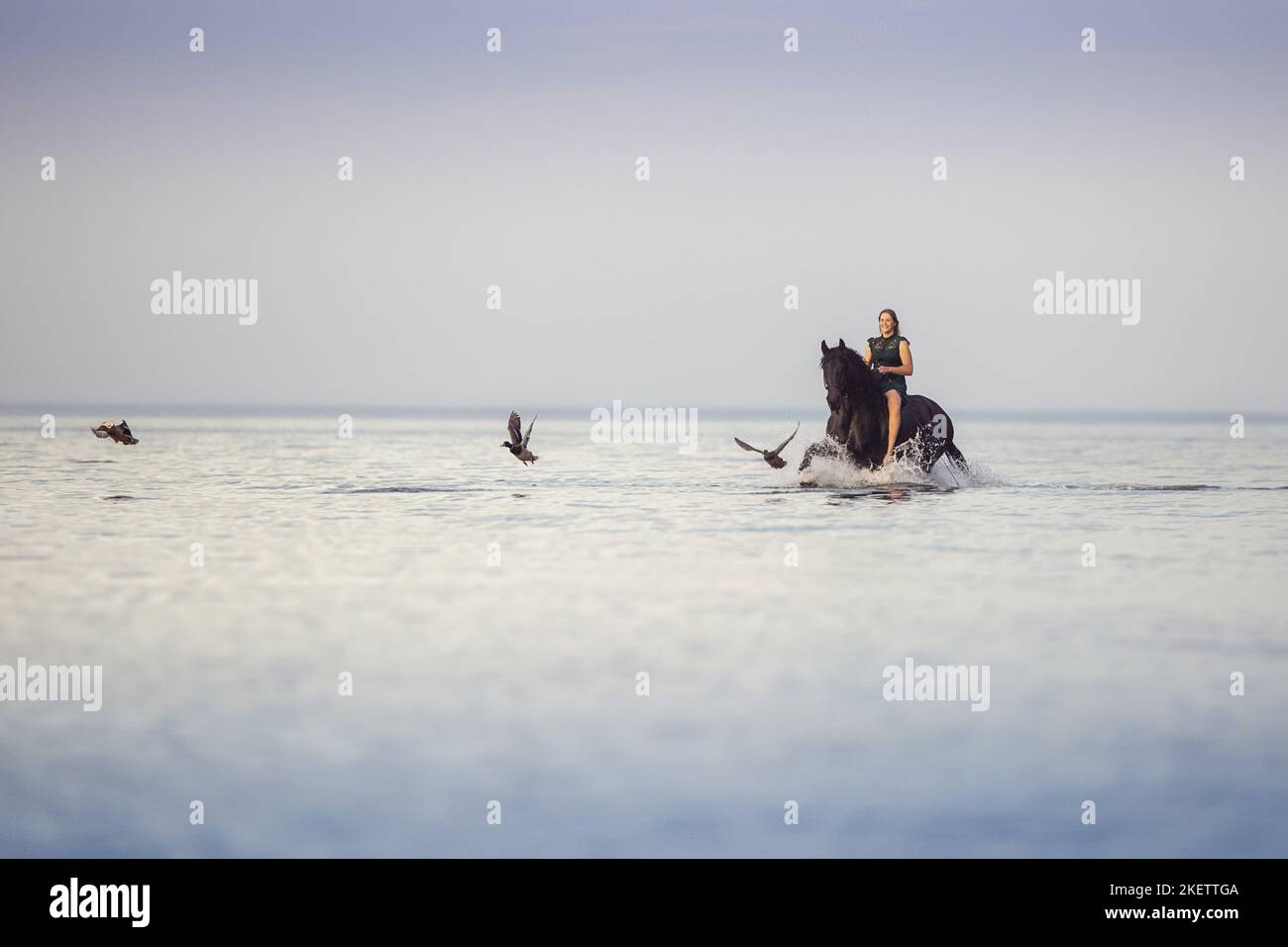 woman with horse Stock Photo - Alamy