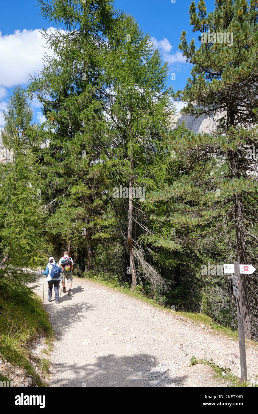 Panoramas of the Alpe Ciampedie, Vigo di Fassa, Val di Fassa, Trento ...
