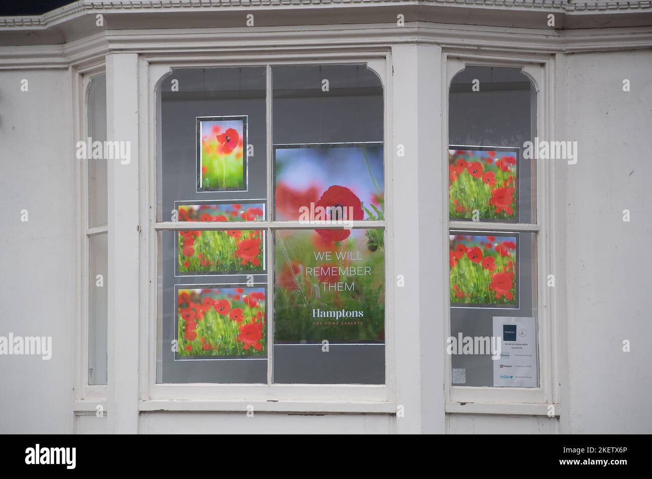 Poppy pictures hi-res stock photography and images - Alamy