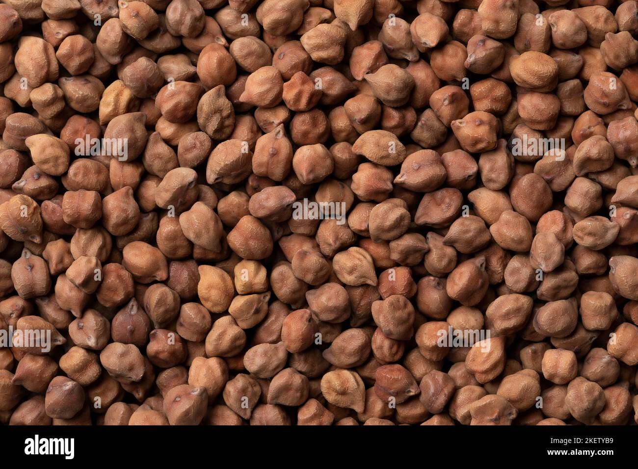 Brown Indian Kala Chana chickpeas close up full frame as background ...
