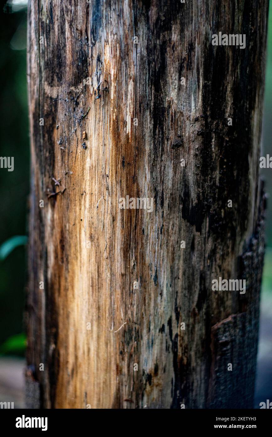 Spiral path cut in hi-res stock photography and images - Alamy