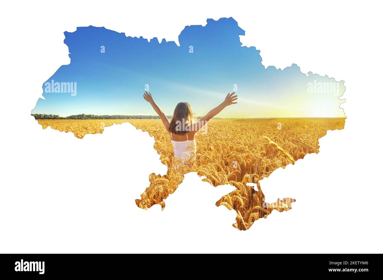 Ukraine background map field wheat. Selective focus. Nature Stock Photo ...