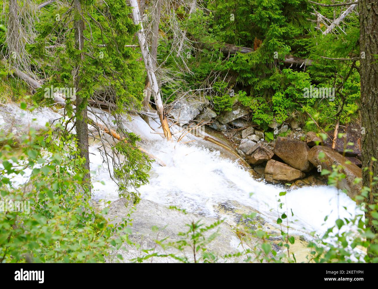 The Cold Stream Waterfalls are a cascade of glacial waterfalls in the ...