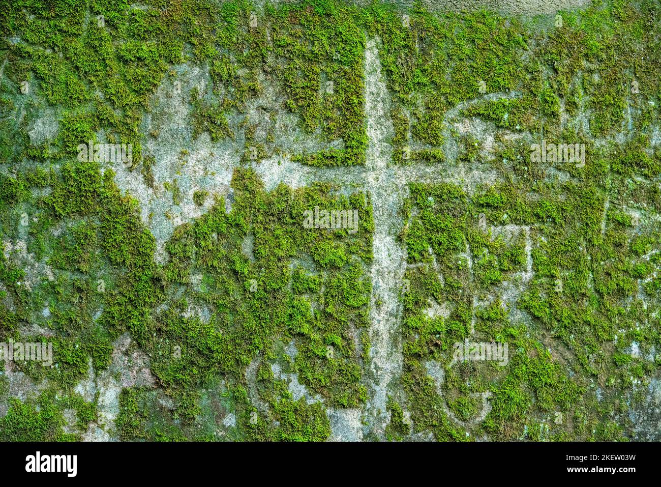 Lawn border cut out hi-res stock photography and images - Alamy