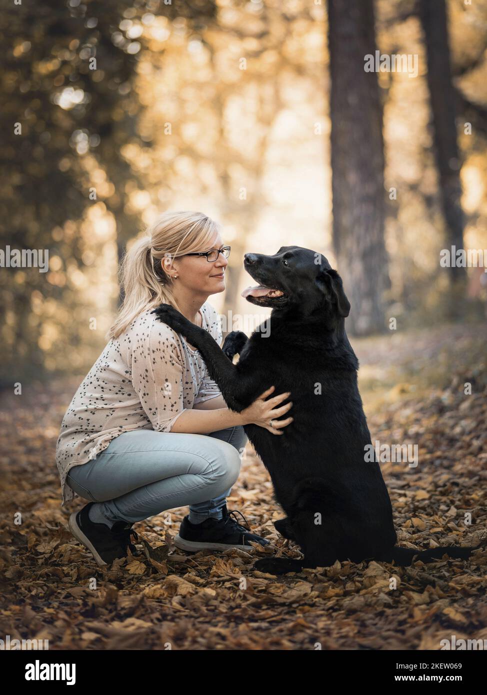 Woman and black labrador retrievers hi-res stock photography and images ...