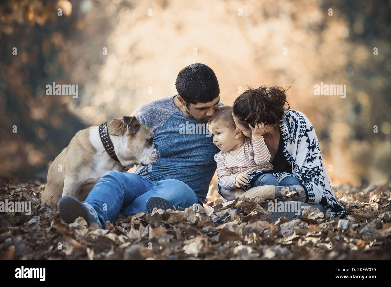 family with English Bulldog Stock Photo - Alamy