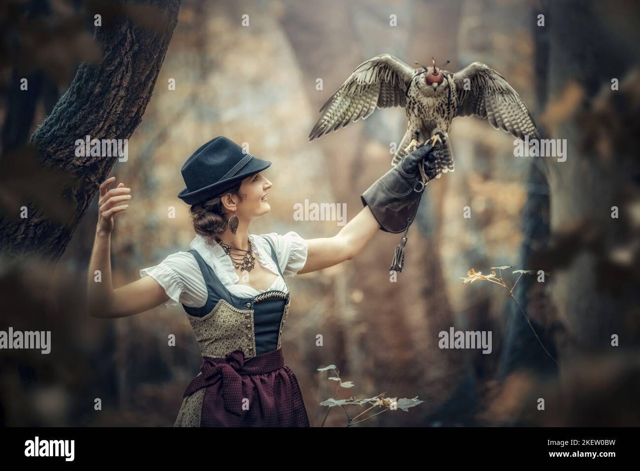 Female saker falcon bird prey hi-res stock photography and images - Alamy