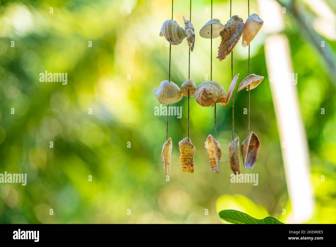 The doorbell is made from shells. Seashells on a rope Stock Photo - Alamy