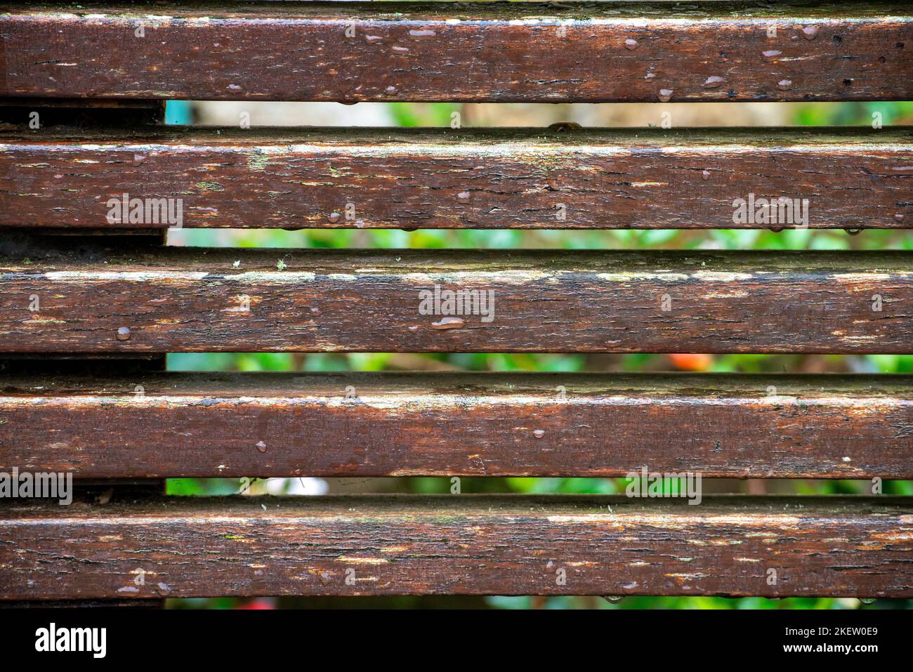 Wooden garden bench planks pattern closeup detailed image Stock Photo ...