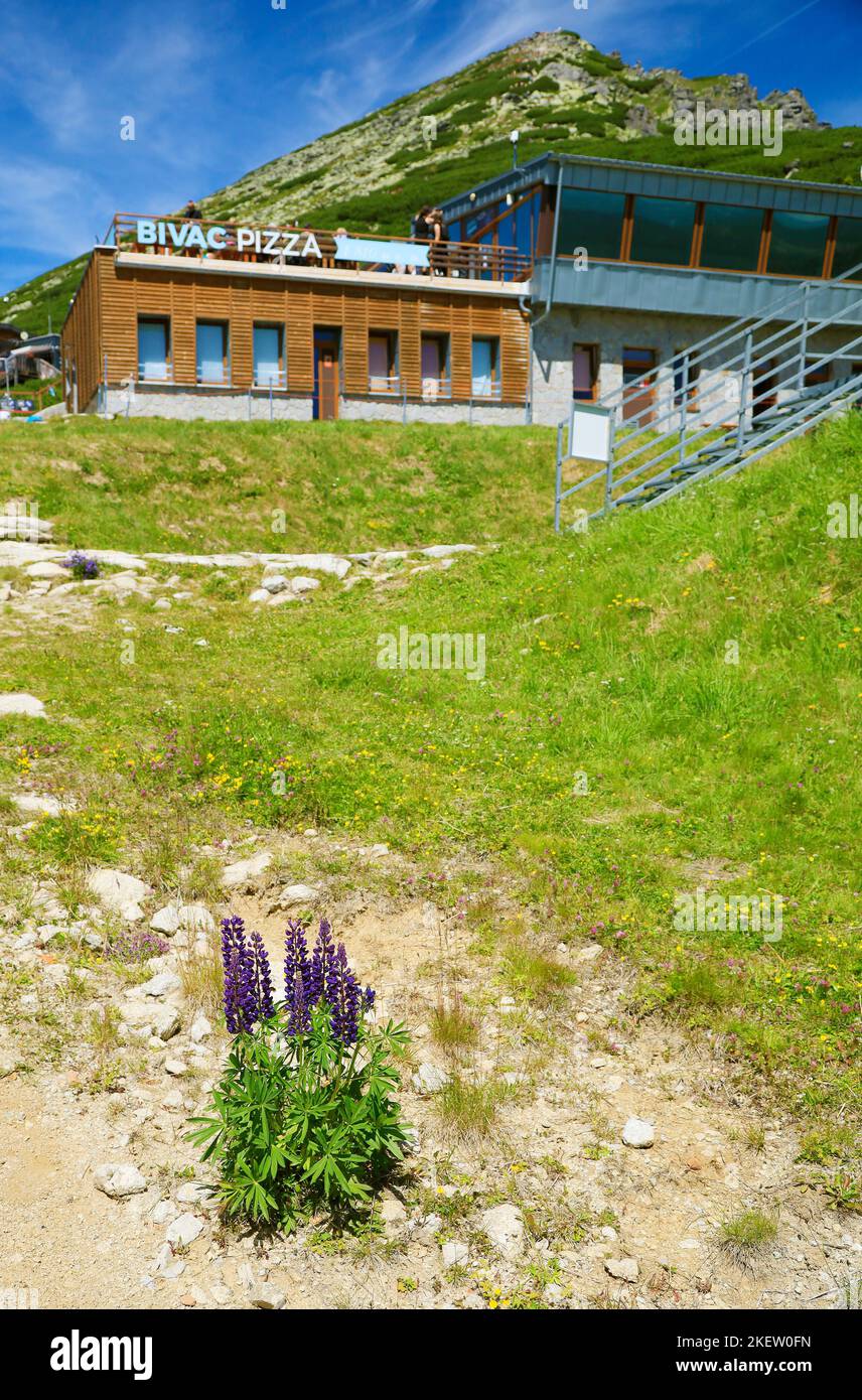 At the terminus of the cable car to Solisko is the restaurant Bivac ...