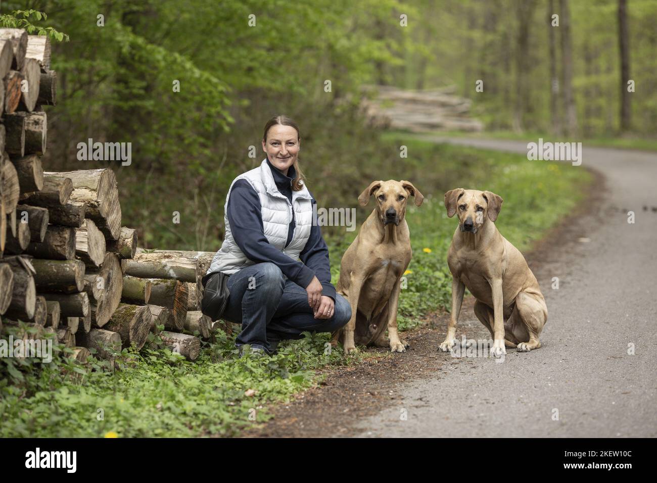 woman and 2 Rhodesian Ridgebacks Stock Photo - Alamy