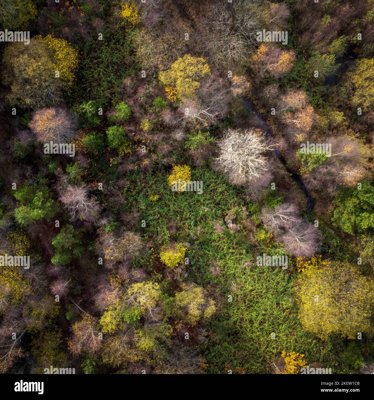 Overhead drone hi-res stock photography and images - Alamy