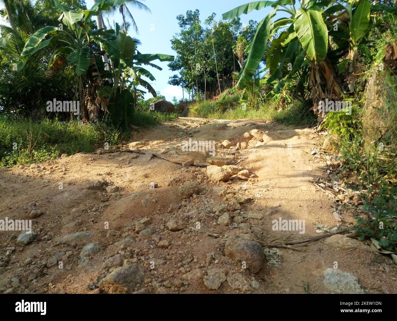 Rough road in the jungle of Asia. The countryside of Thailand Stock ...