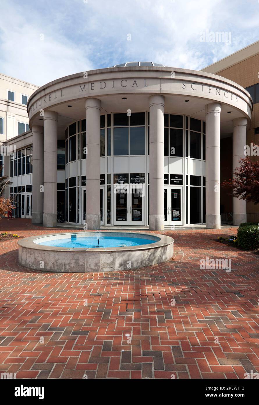 The Edward E. Brickell Medical Sciences Library at Eastern Virginia ...