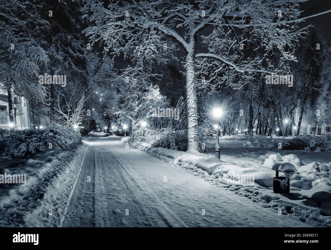 Winter park at night with christmas decorations, glowing lanterns ...