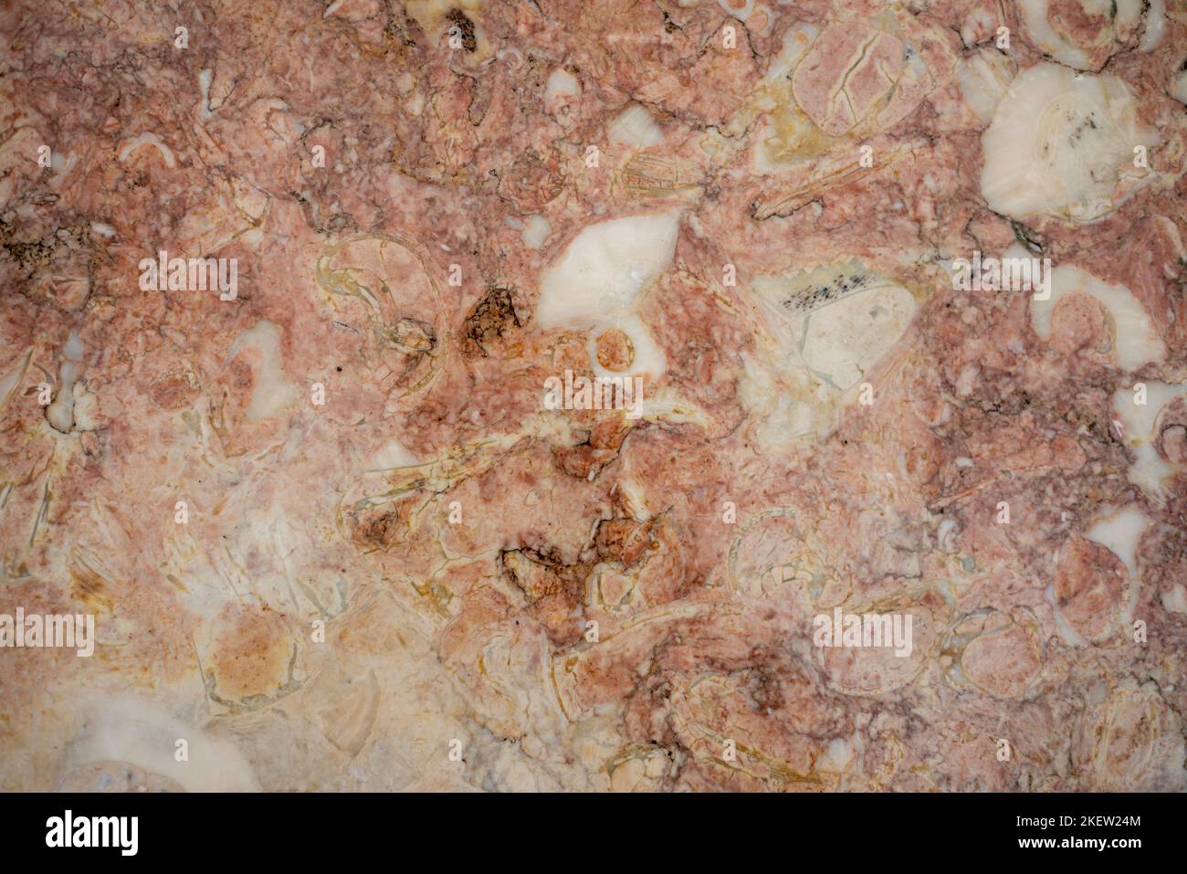 Marble stone detail of texture and pattern Stock Photo - Alamy