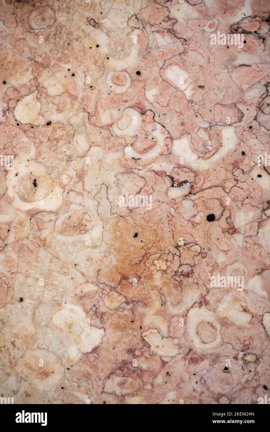 Marble stone detail of texture and pattern Stock Photo - Alamy