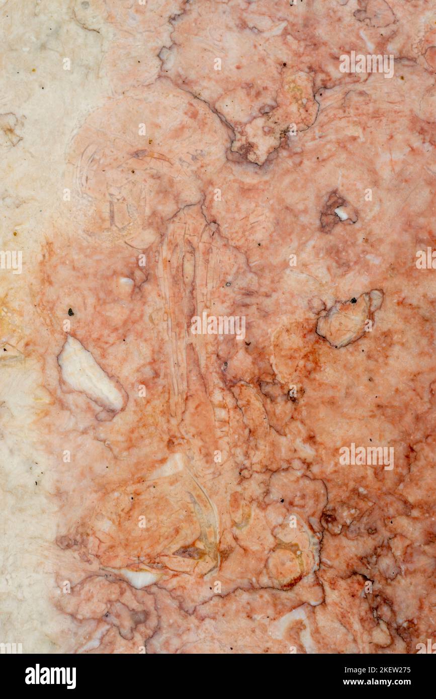 Marble stone detail of texture and pattern Stock Photo - Alamy