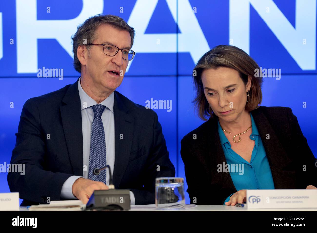Madrid, Spain; 14.11.2022.- President of the Popular Party, Alberto ...