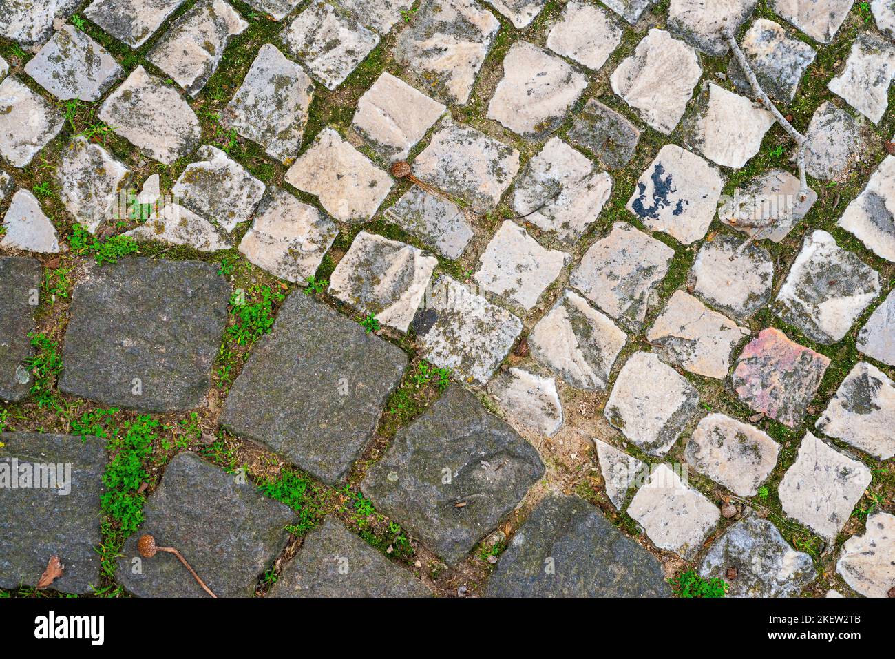 Portuguese sidewalk closeup pattern detail Stock Photo - Alamy