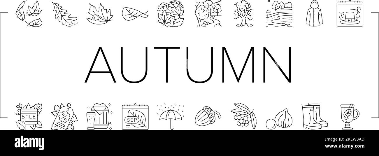 autumn fall leaf nature season icons set vector Stock Vector Image ...