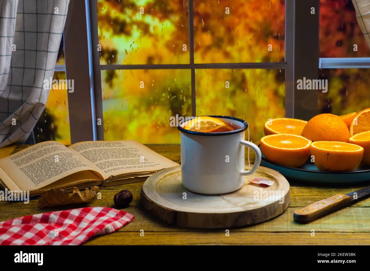 Cup of autumn tea with a book and yellow dry leaves near a window, copy ...