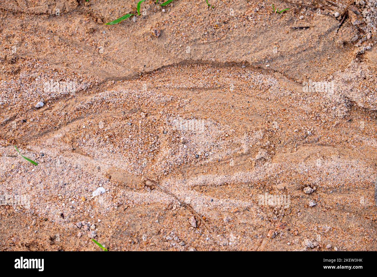 Gravel path in rain hi-res stock photography and images - Alamy