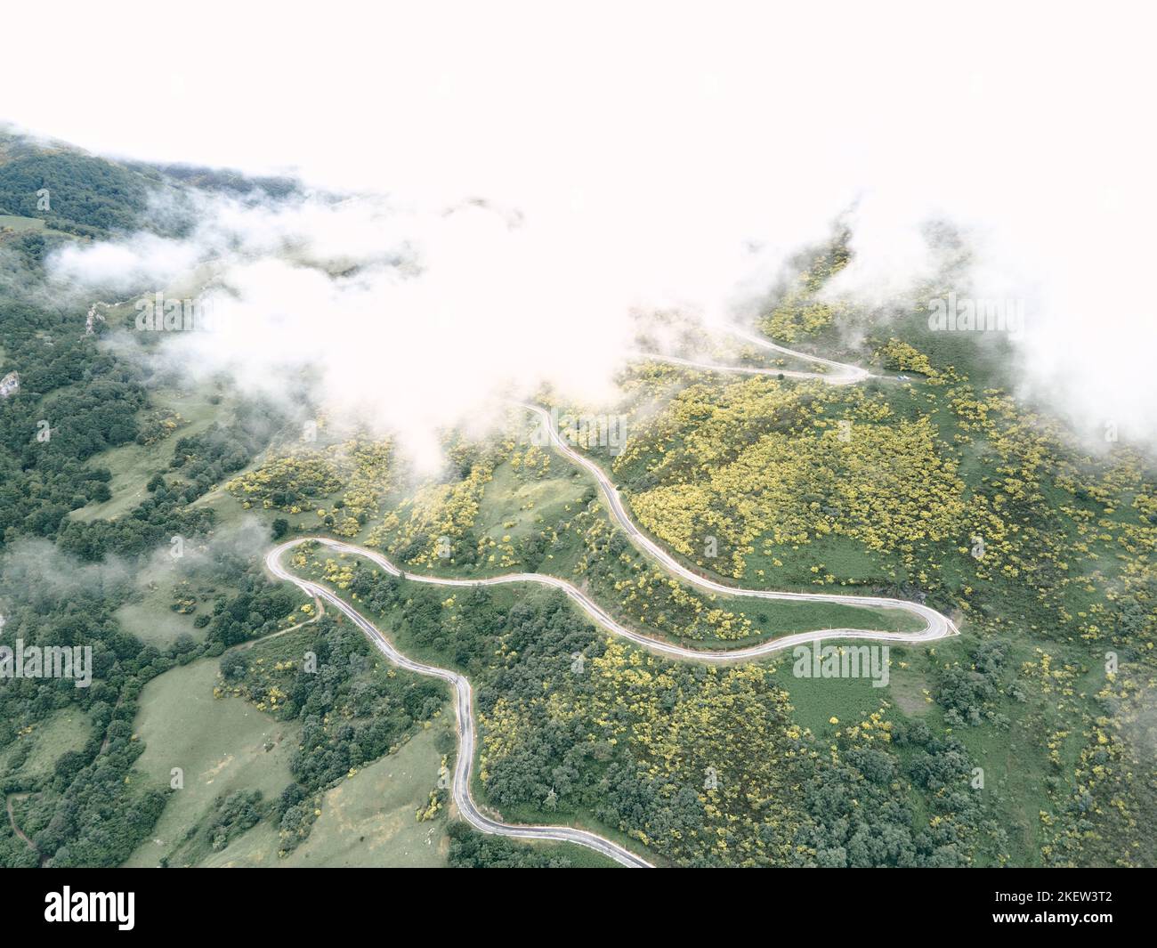 long lonely narrow road with many curves in the valley among the ...