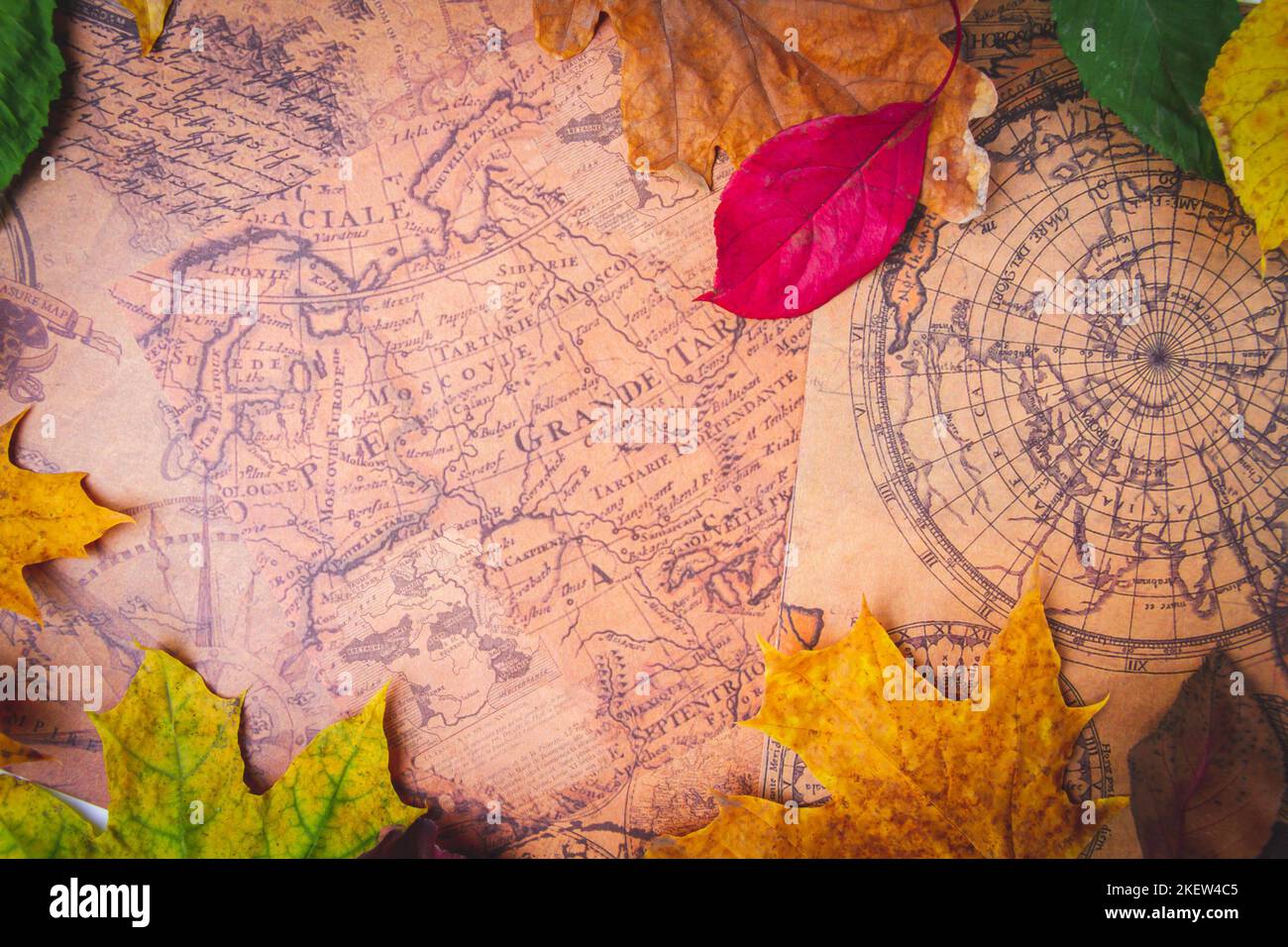 Map of leaves hi-res stock photography and images - Alamy