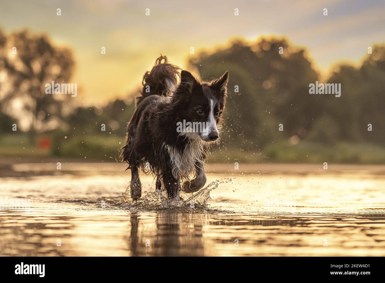 Black white moving atmospheric cloud hi-res stock photography and ...
