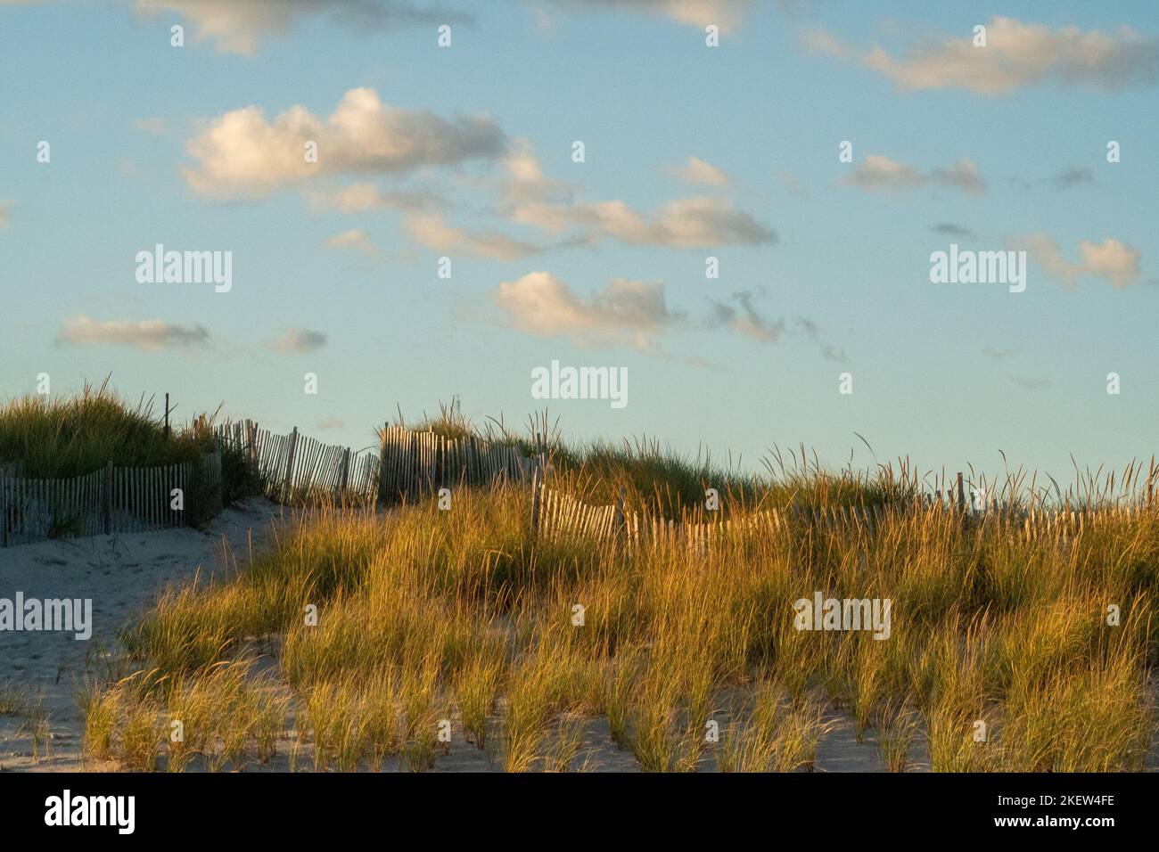 the dunes along the south shore beaches of long island. Pretty blue ...