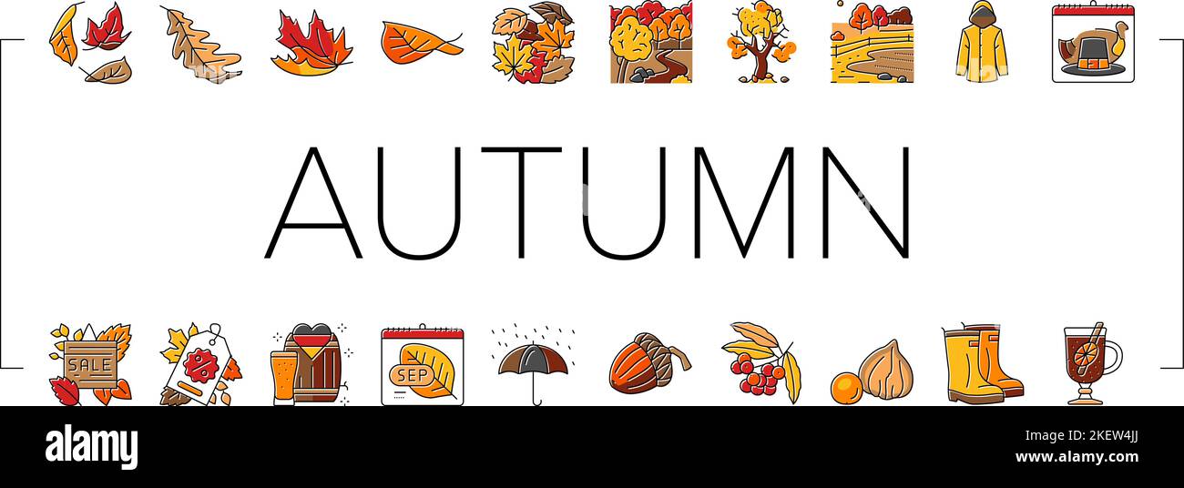 autumn fall leaf nature season icons set vector Stock Vector Image ...