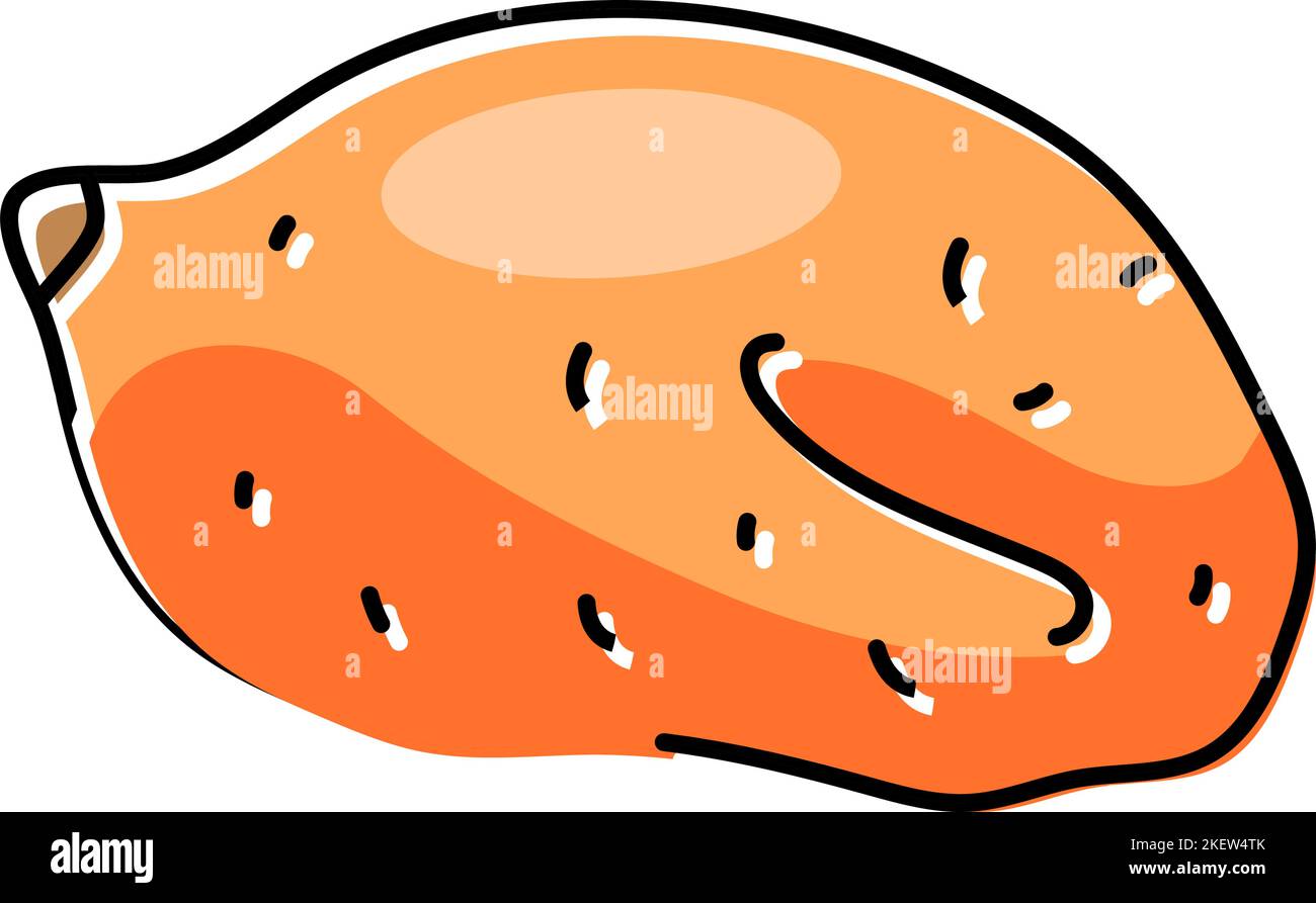 sweet orange potato color icon vector illustration Stock Vector Image ...