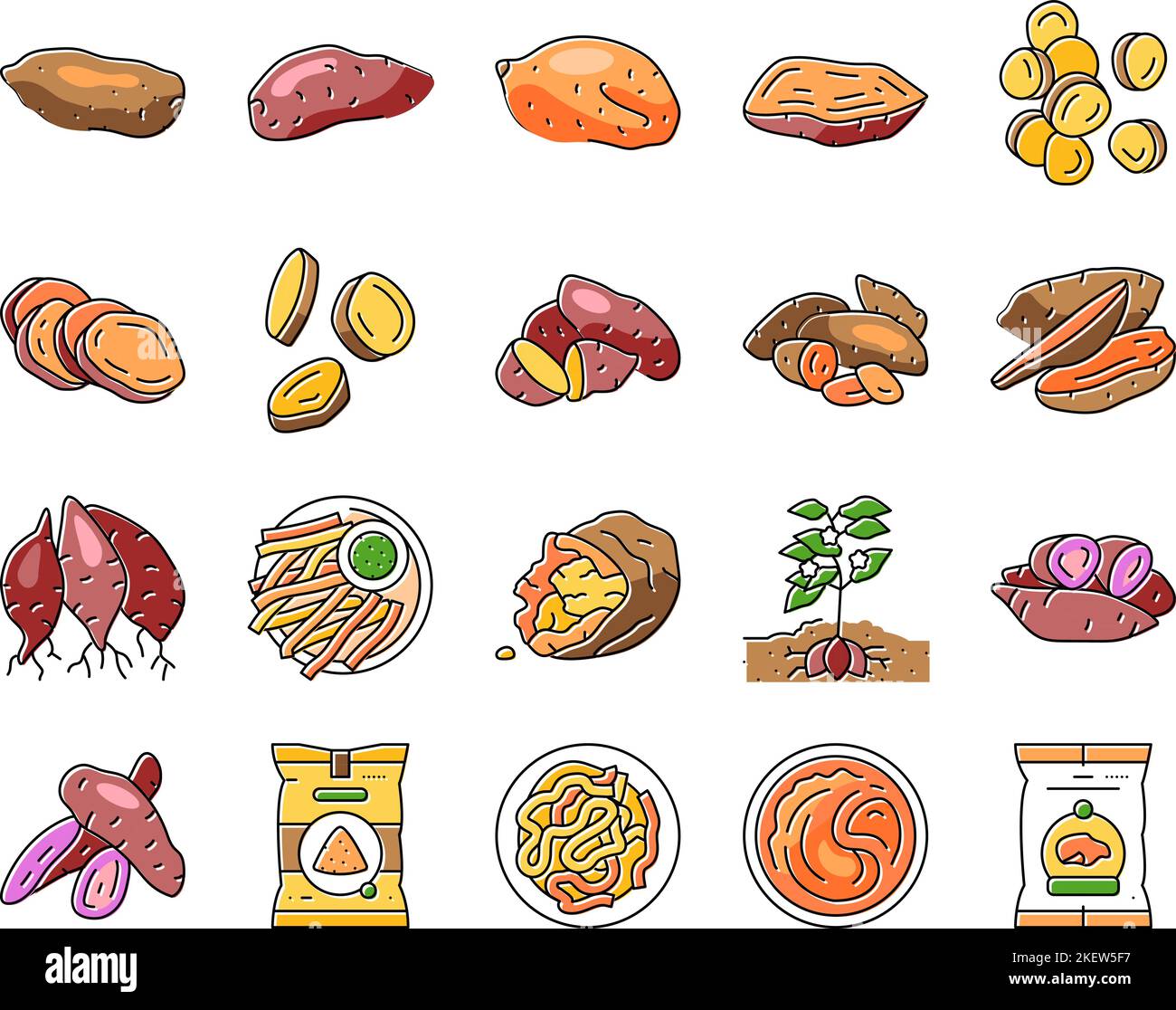 potato sweet food yam orange icons set vector Stock Vector Image & Art ...