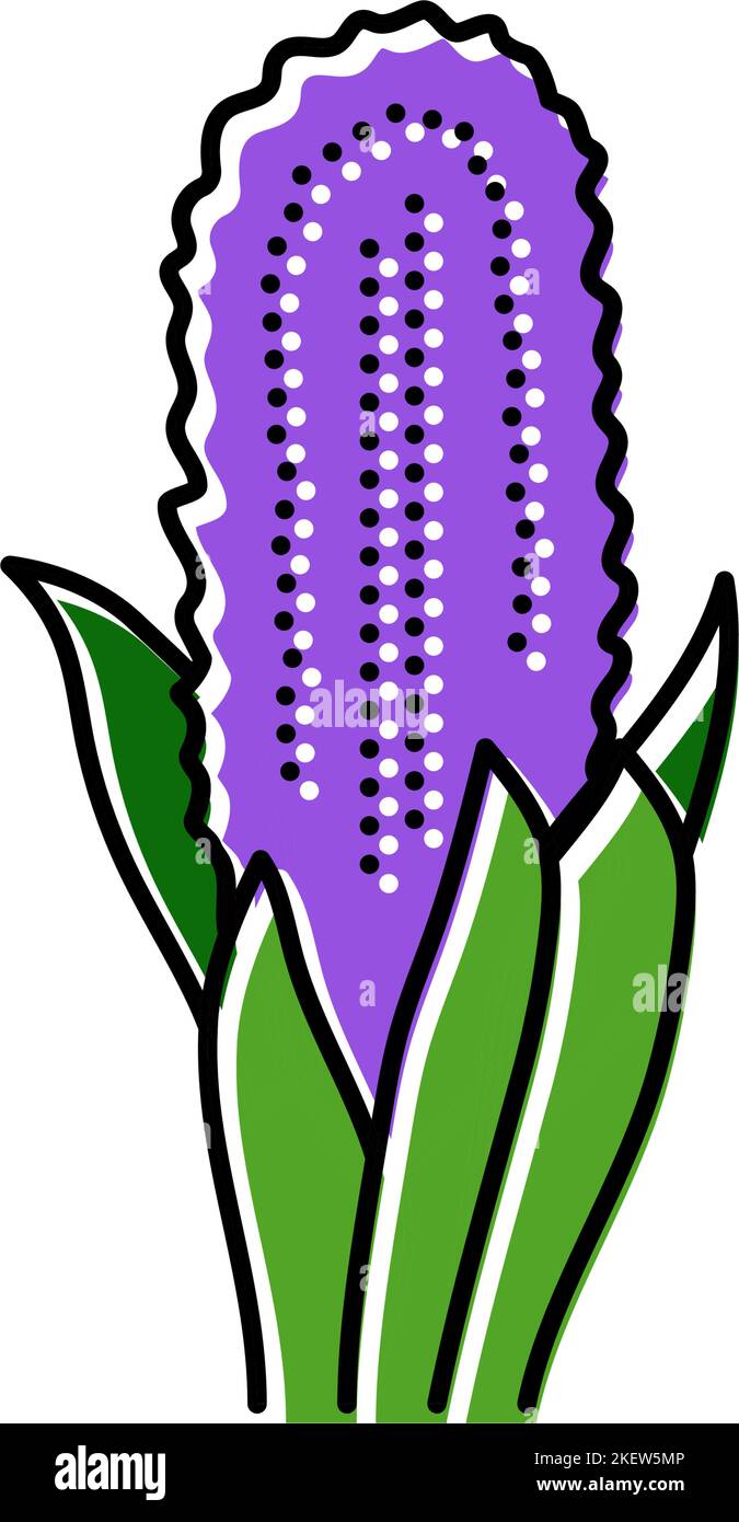 Blue hyacinth flower Stock Vector Images - Alamy