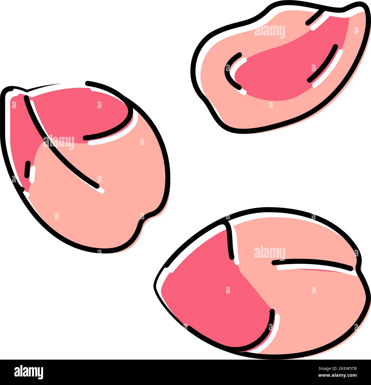 petal spring color icon vector illustration Stock Vector Image & Art ...