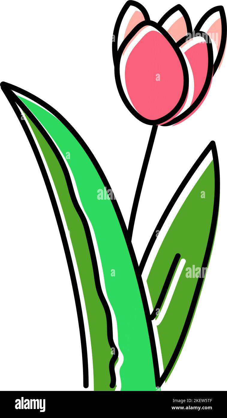 tulip flower spring color icon vector illustration Stock Vector Image ...