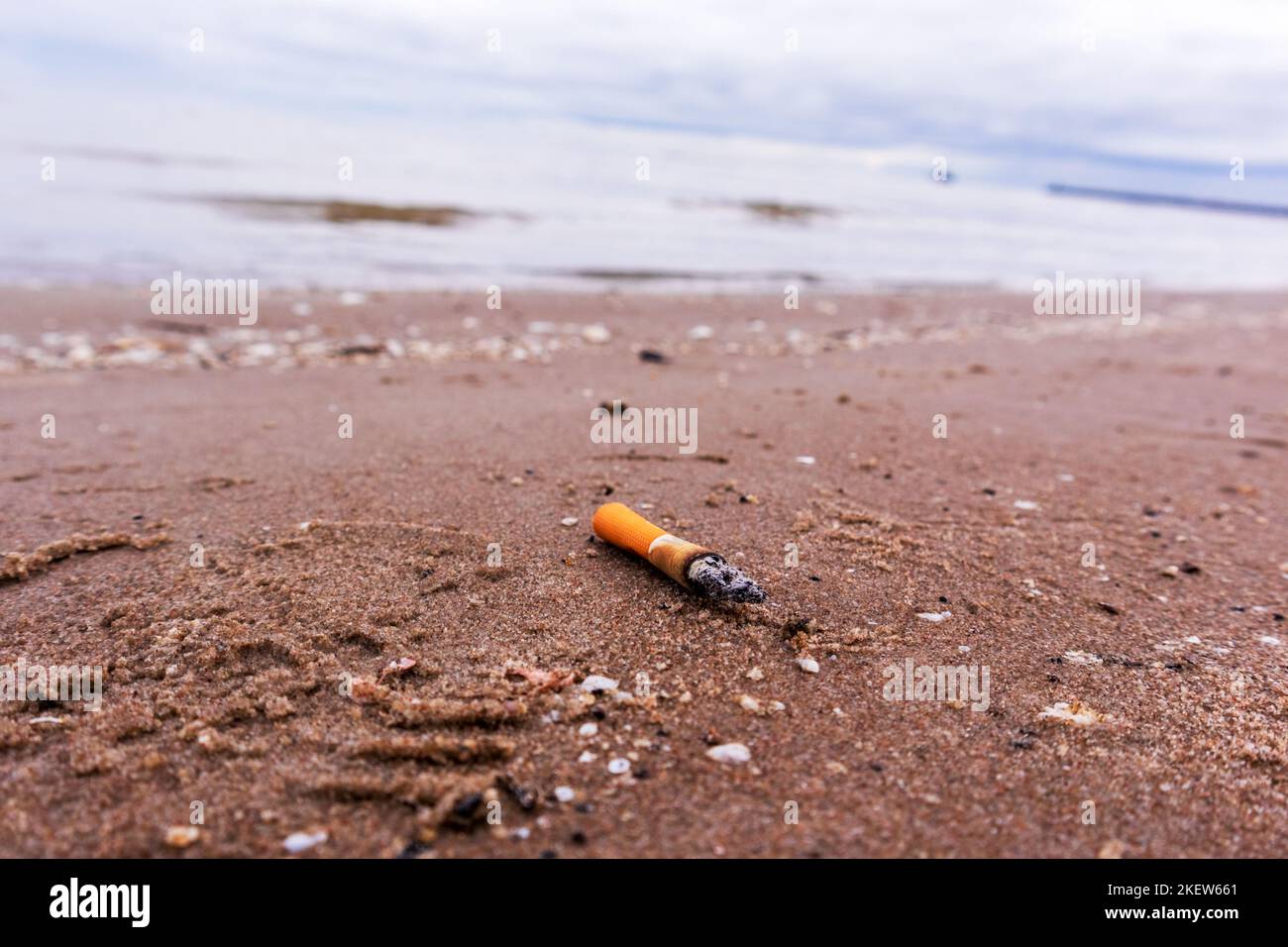 Sea with shells and a yellow cigarette in the sand Stock Photo - Alamy