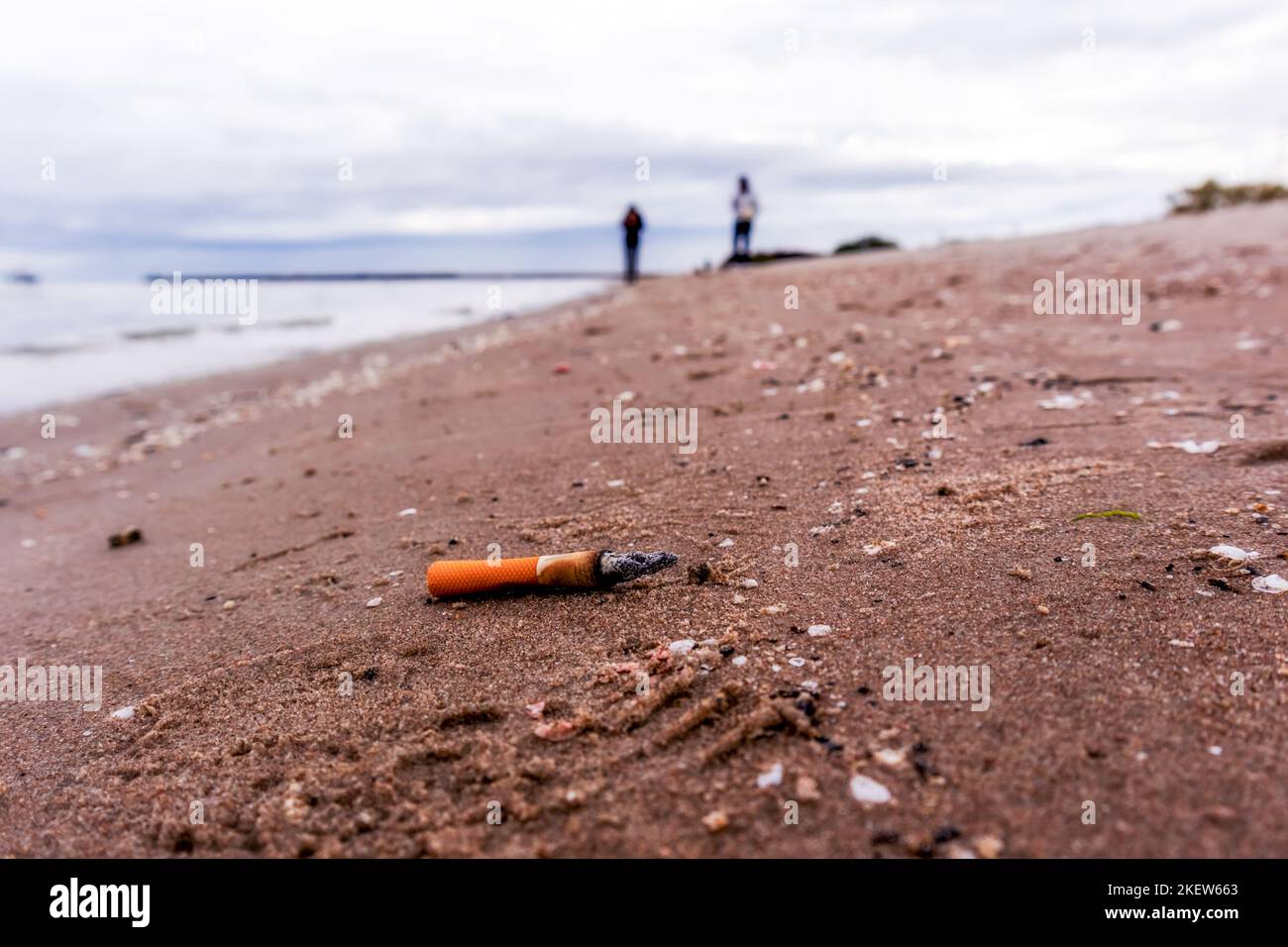 Sea with shells and a yellow cigarette in the sand Stock Photo - Alamy