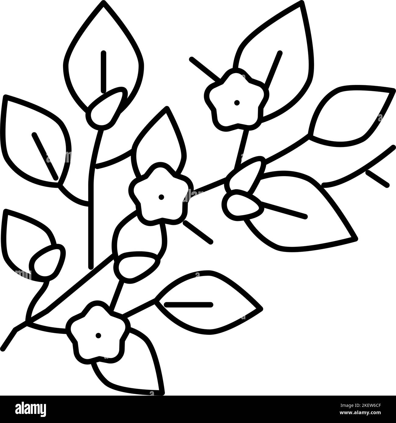 bloom spring line icon vector illustration Stock Vector Image & Art - Alamy