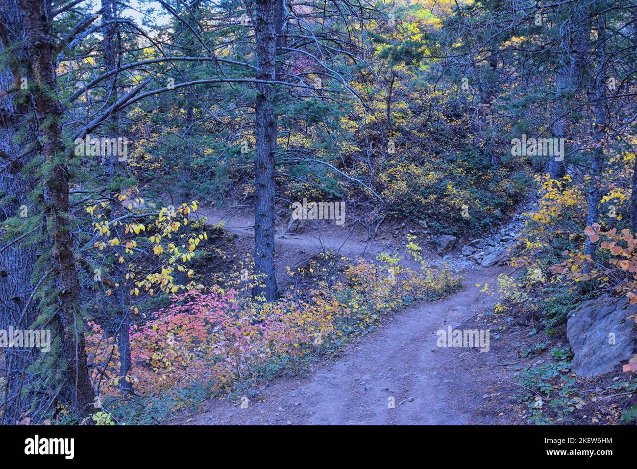 Pine Hollow hiking trail Mountain views by Timpanogos in the Wasatch ...