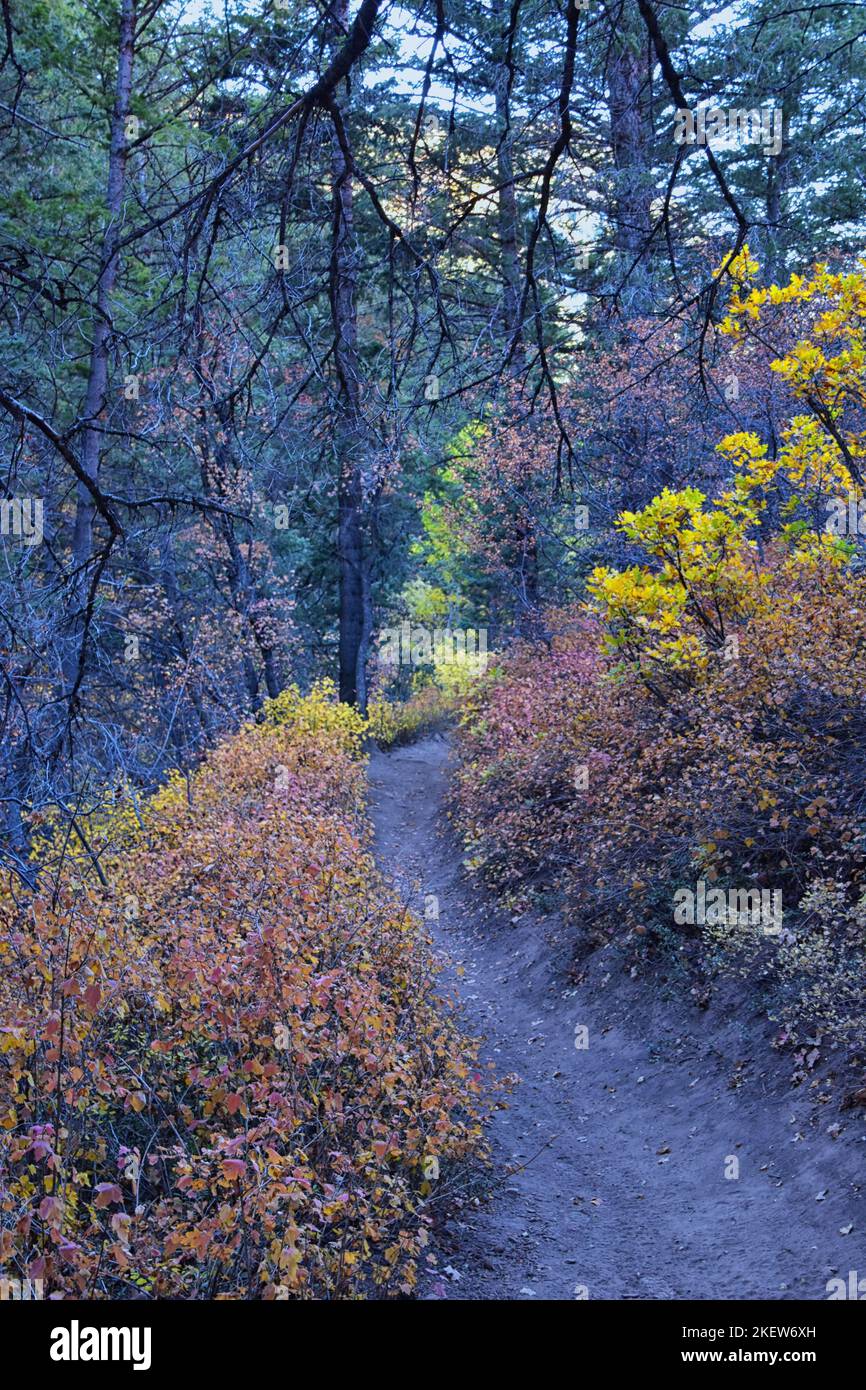Pine Hollow hiking trail Mountain views by Timpanogos in the Wasatch ...