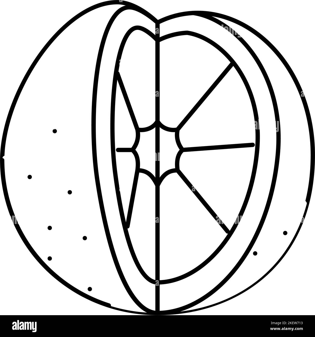 Orange peel texture Black and White Stock Photos & Images - Alamy